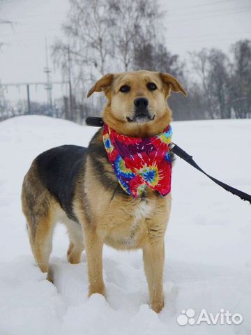 Я заслуживаю жить в семье