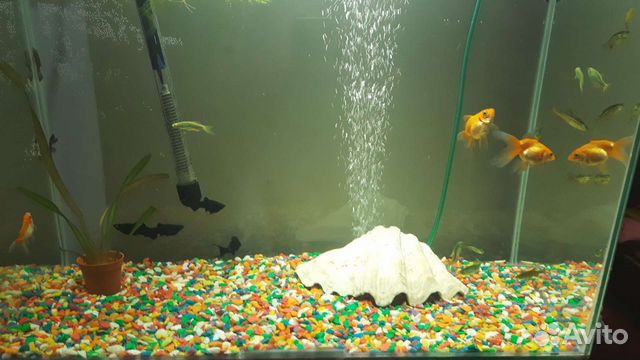 Аквариум под террариум
