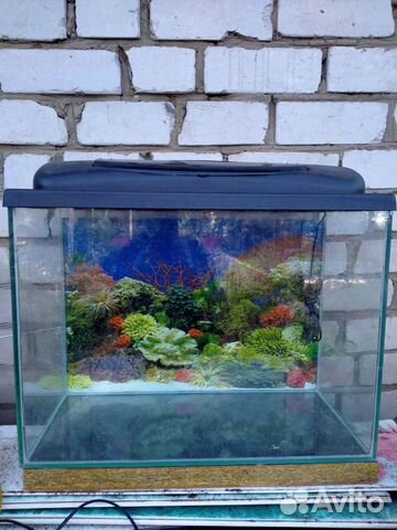 Аквариум 80 литров с аксессуарами