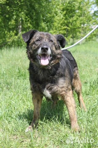 Стала ненужной, после закрытия предприятия