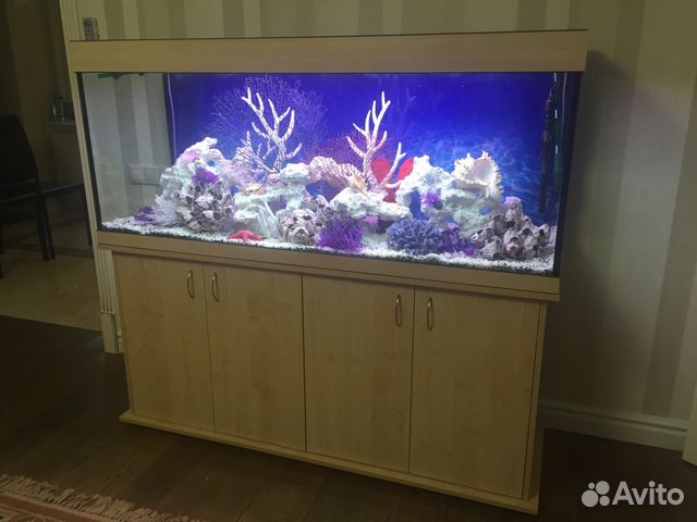 Аквариум. Бесплатная доставка через 2,5 часа