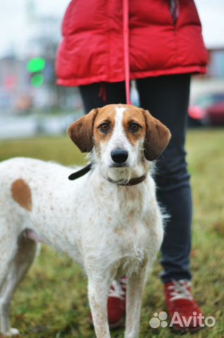 Ляля ищет дом