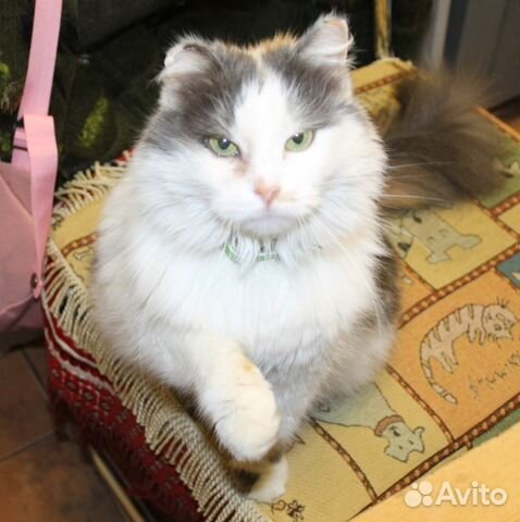 Нежное облачко Кузина