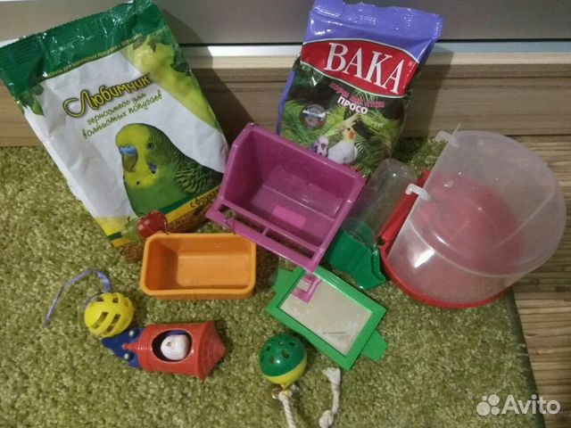 Попугаю корм и аксессуары, набор