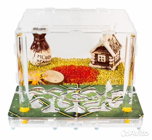 Муравьиная ферма - формикарий Medium