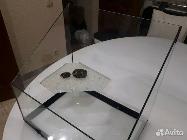 Аквариум для черепах