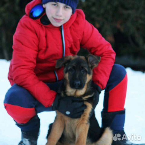 Ефросинья Из Дома Инфанты