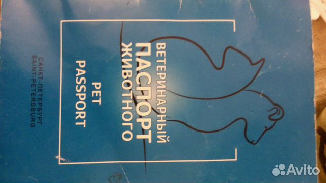 Отдам собаку