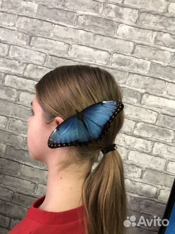 Продам живых тропических бабочек