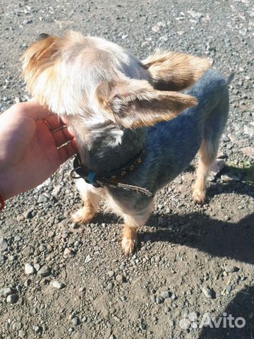 Вязка парень 1.10мес