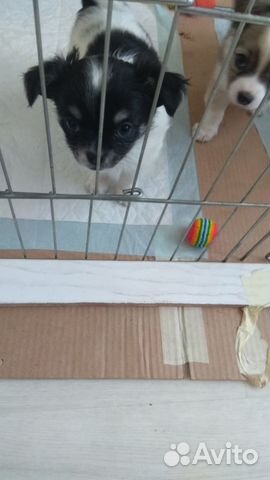 Самые сладкие детки