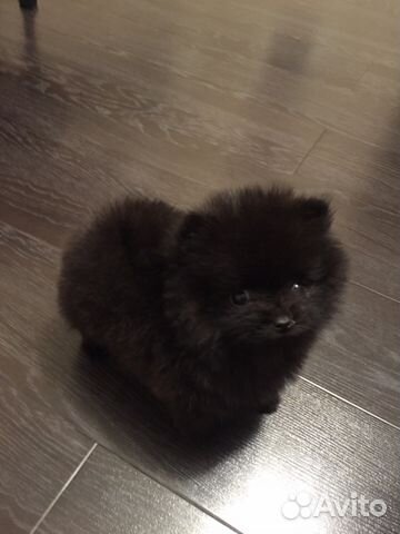 Чисто черная девочка