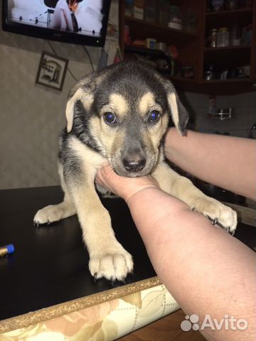 Милая бусинка в добрые руки