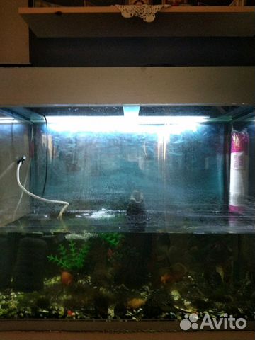 Аквариум