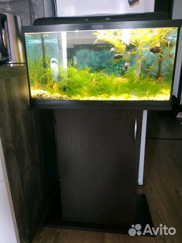 Аквариум + тумба