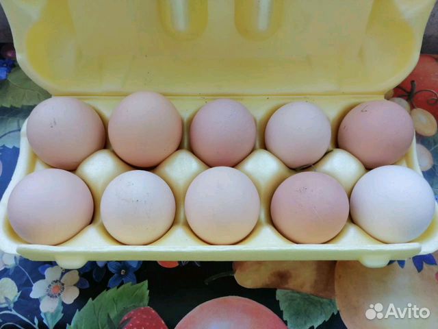 Яйца куриные, утиные