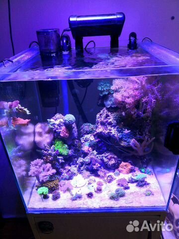 Морской аквариум 65 л