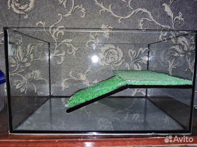 Черепашатник