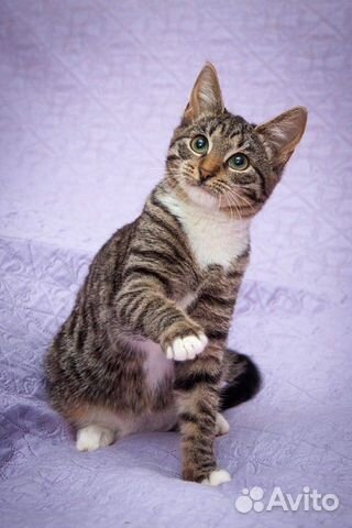 Малышка Нюся в добрые руки