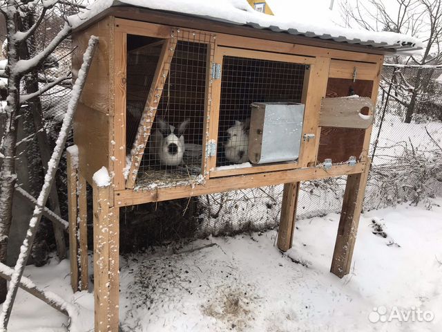 Продам готовую кроличью ферму