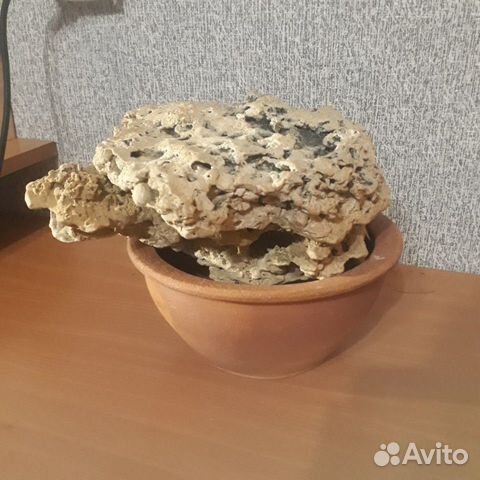 Грот для черепахи (Островок, суша)