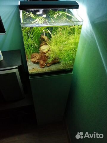 Аквариум Denerle 30 литров