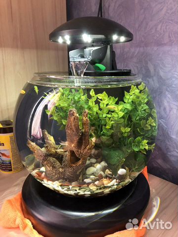 Аквариум Tetra Cascade Globle