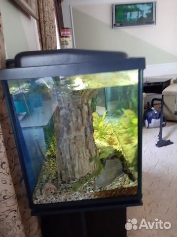 Аквариум
