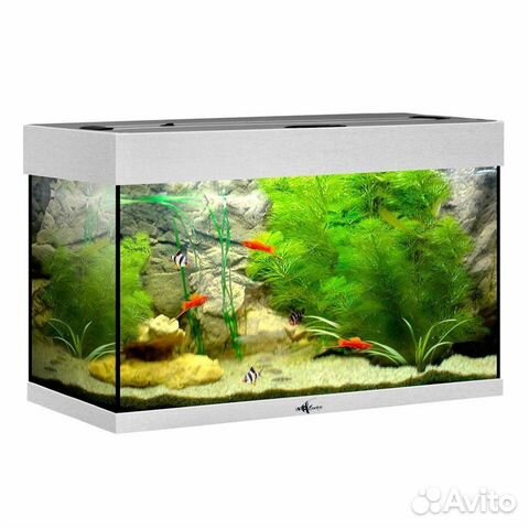 Аквариум Bio Design 80 литров