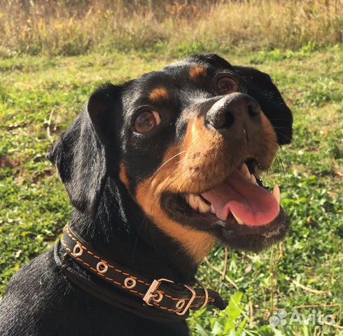 Жизнерадостная Джуля ищет свою семью