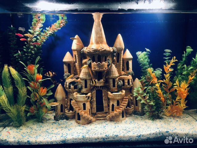 Декор для аквариума