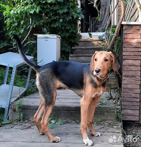 Эльза очень ждет свою маму