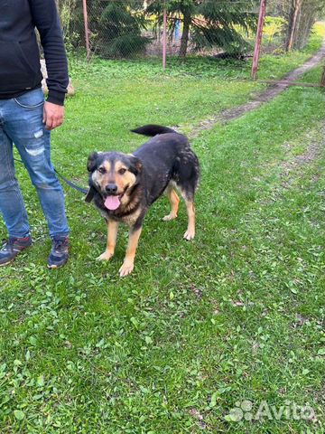 Ждёт свою семью