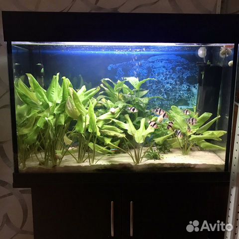 Аквариум с тумбой