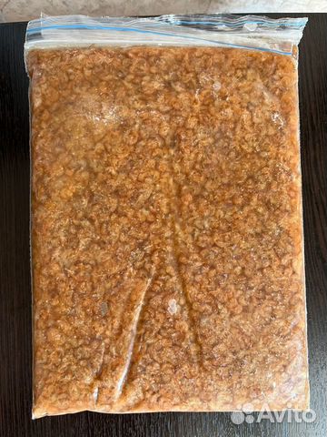 Гаммарус оптом и розница