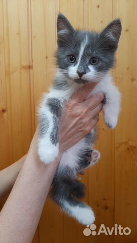 Красивый мальчик (2 мес.)