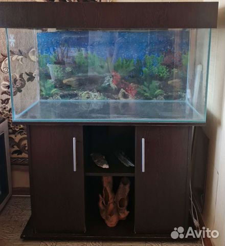 Аквариум