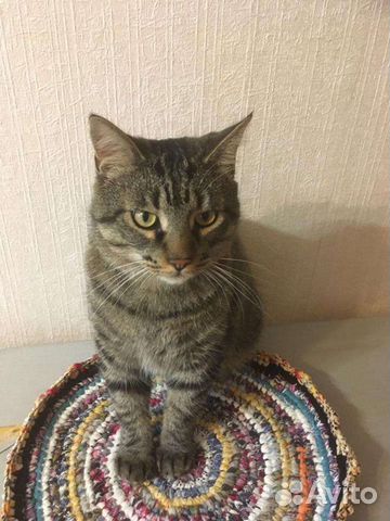 Мишка
