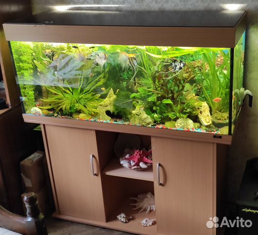 Аквариум с тумбой 250 литров