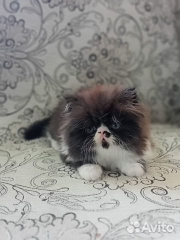 Красавчик мальчик