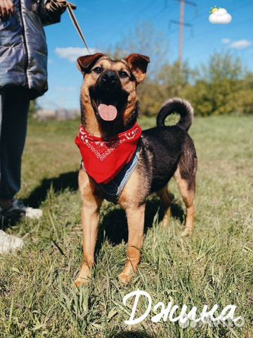 Малышка ждет своего человека