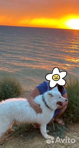 Кабель 5лет с документами, развязан ищет невесту