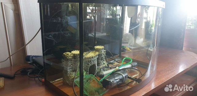 Аквариум 50 литров