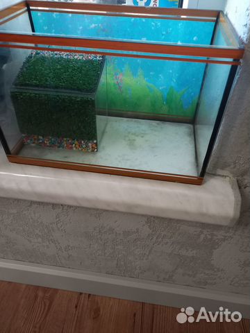 Аквариум, жила черепаха