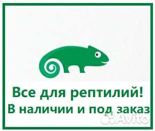 Товары для рептилий, черепах