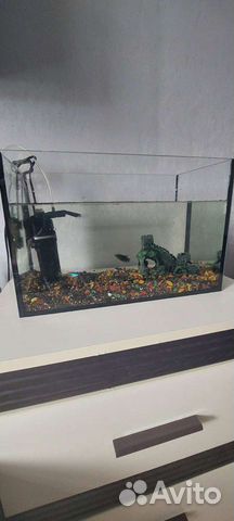 Аквариум с рыбками