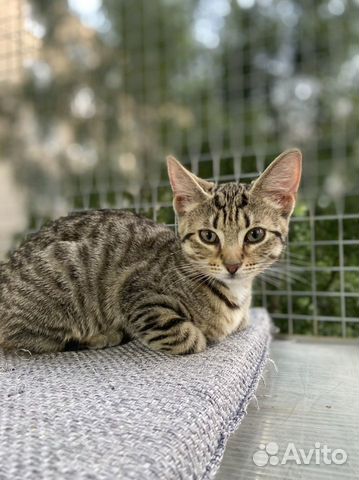 Девочка в тельняшке