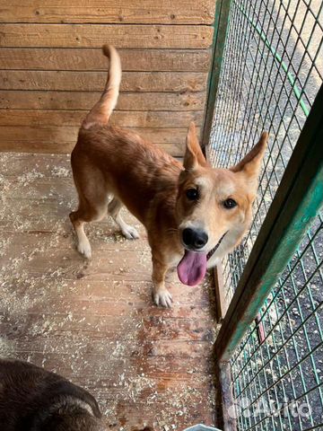 Лесли успела покорить всех вокруг себя