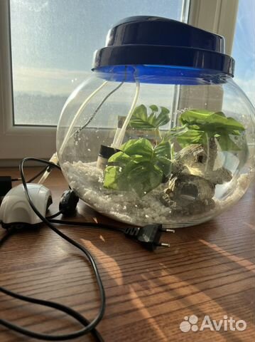 Аквариум, декор, грунт