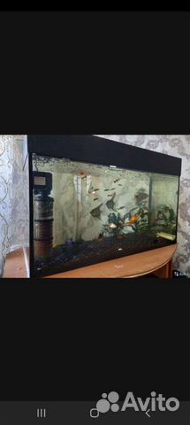 Аквариум с рыбками